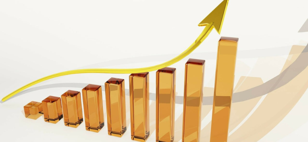 Qué es y Cómo se Calcula la TIR | Crowmie